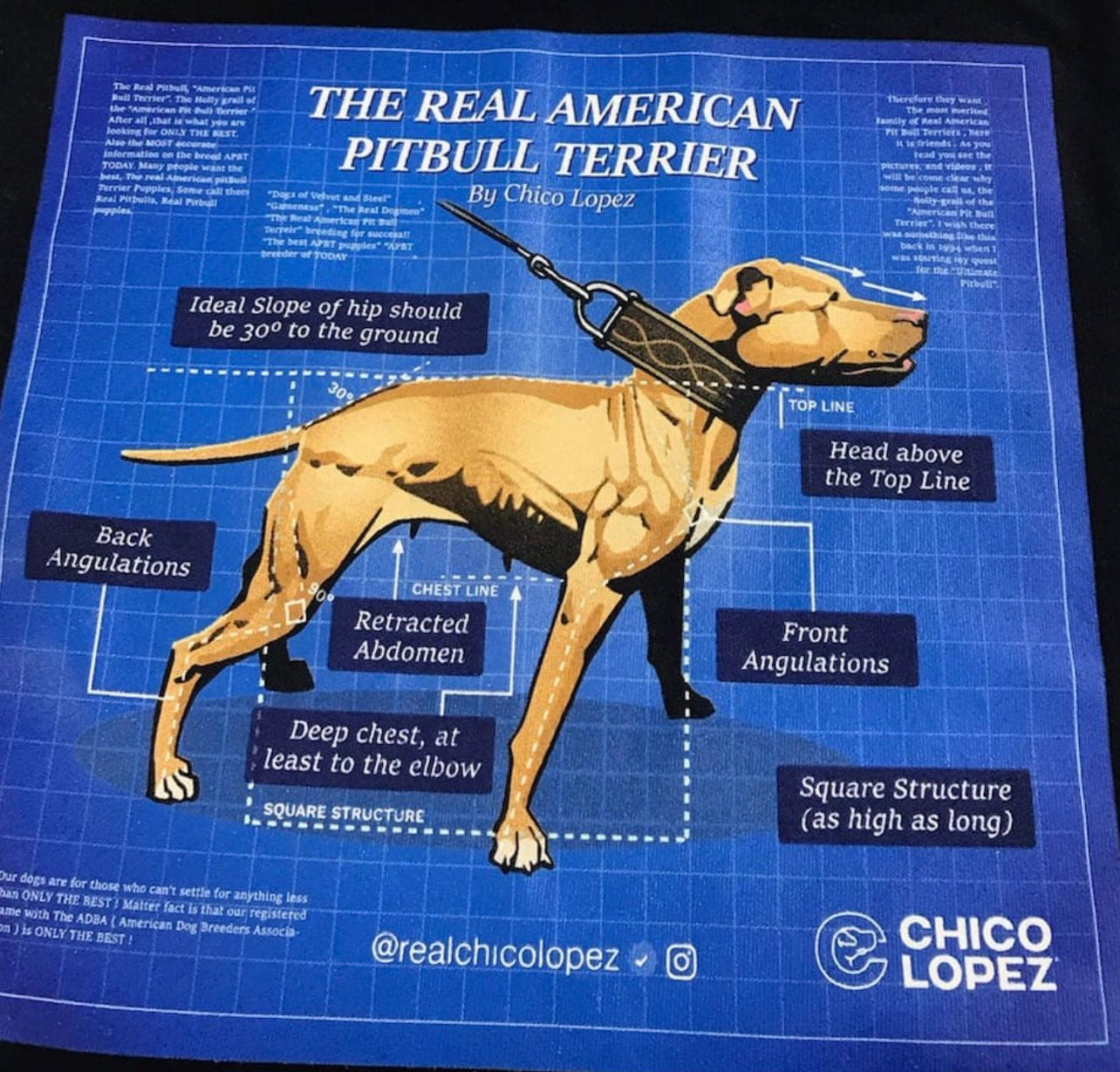 APBT Standard, Real Pitbull blueprint T-shirt – Pitbull Leather Collar